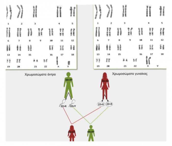 Το Μέλλον | Σύνδρομο Turner